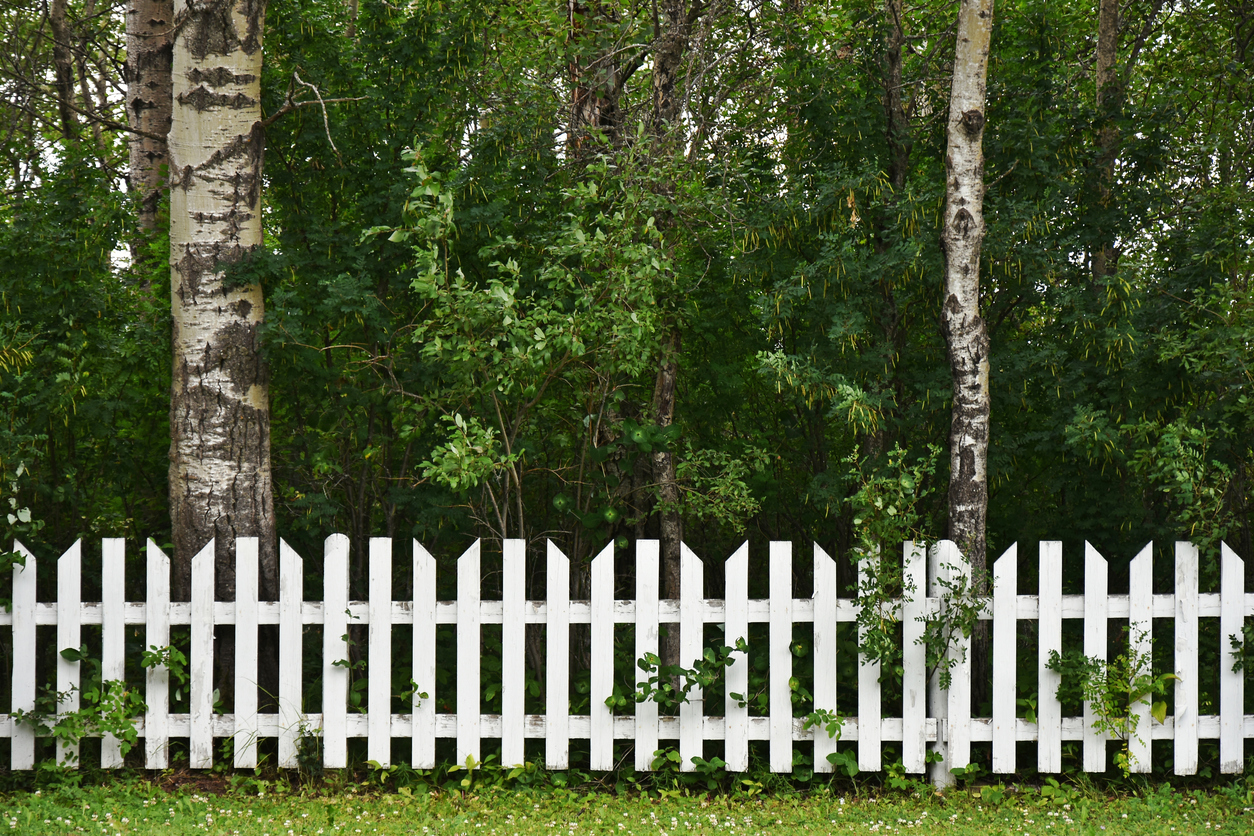 Five Surprising Benefits of Picket Fences